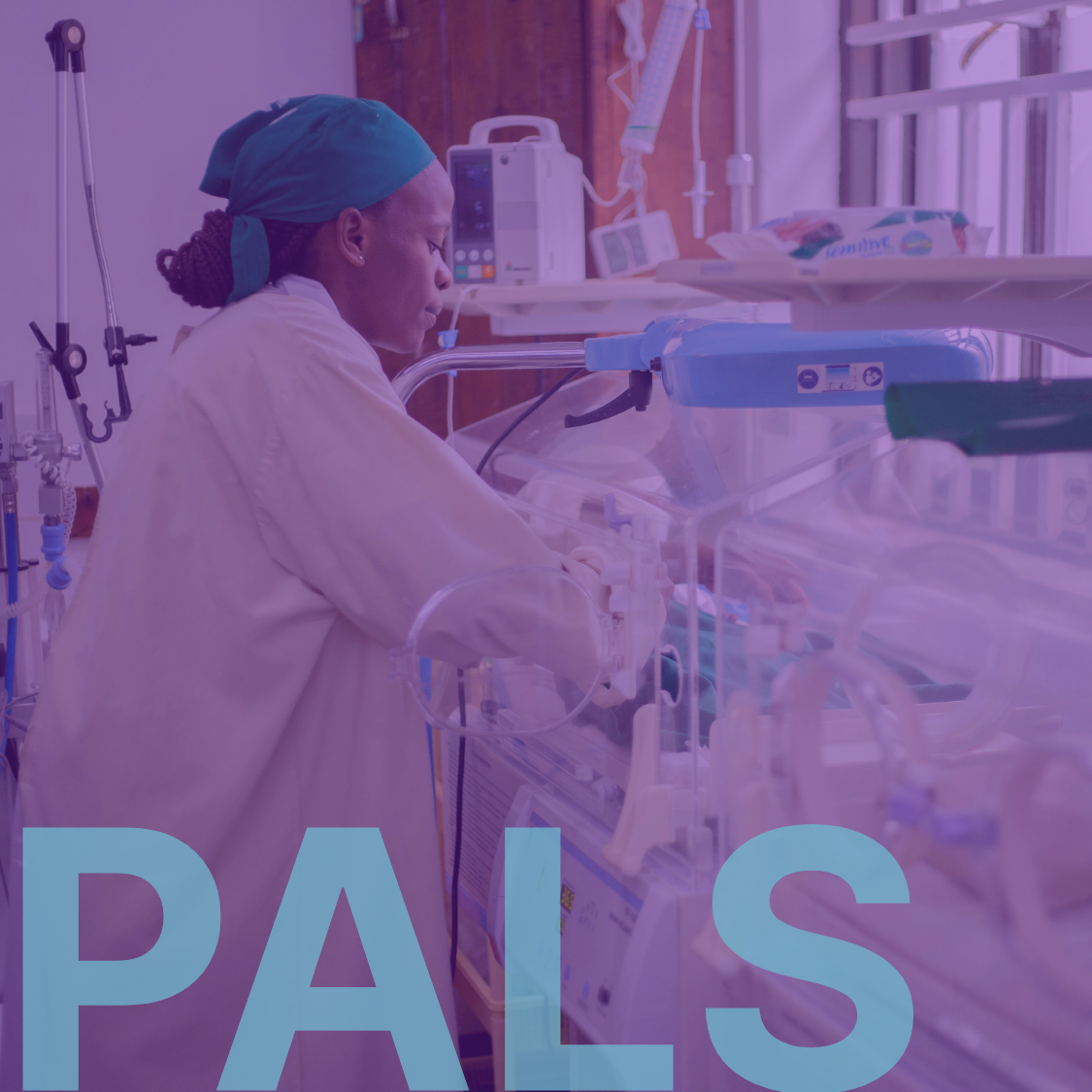 AHA Pediatric Advanced Life Support (PALS) Course – Remote Medical Training