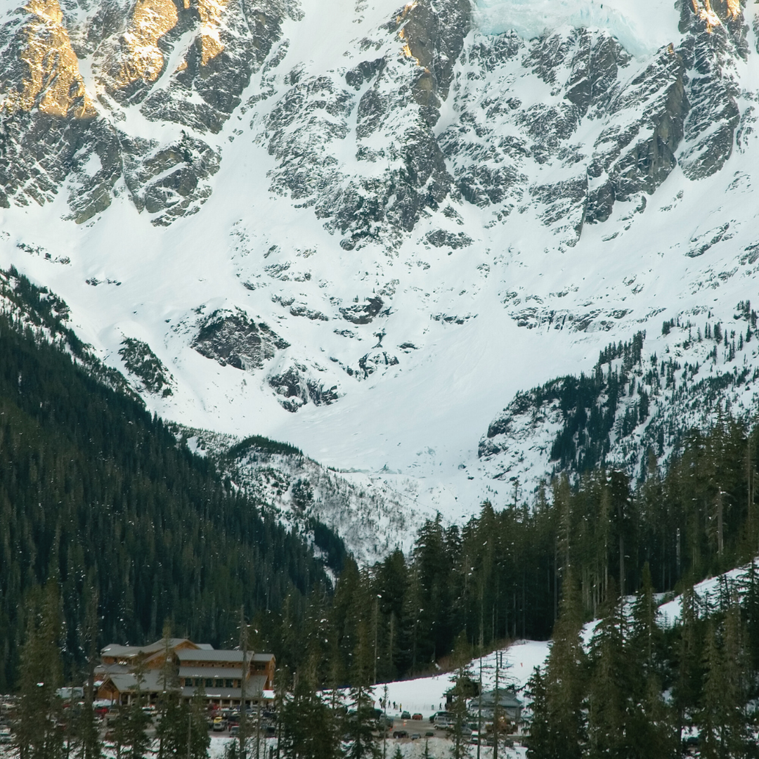 Wilderness First Responder™ (WFR) Course – Remote Medical Training