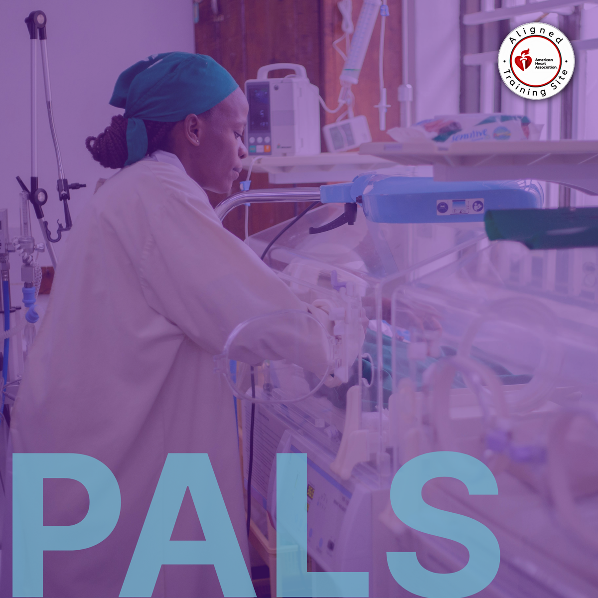 2026/04/16 | PEDIATRIC ADVANCED LIFE SUPPORT (PALS) (Copy) – Remote ...